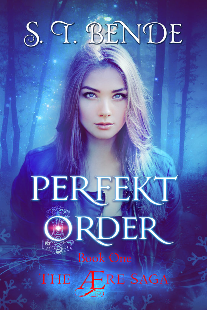 Perfekt Order by S.T. Bende | Book Barbarian