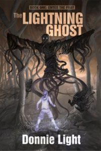 The Lightning Ghost by Donnie Light | Book Barbarian
