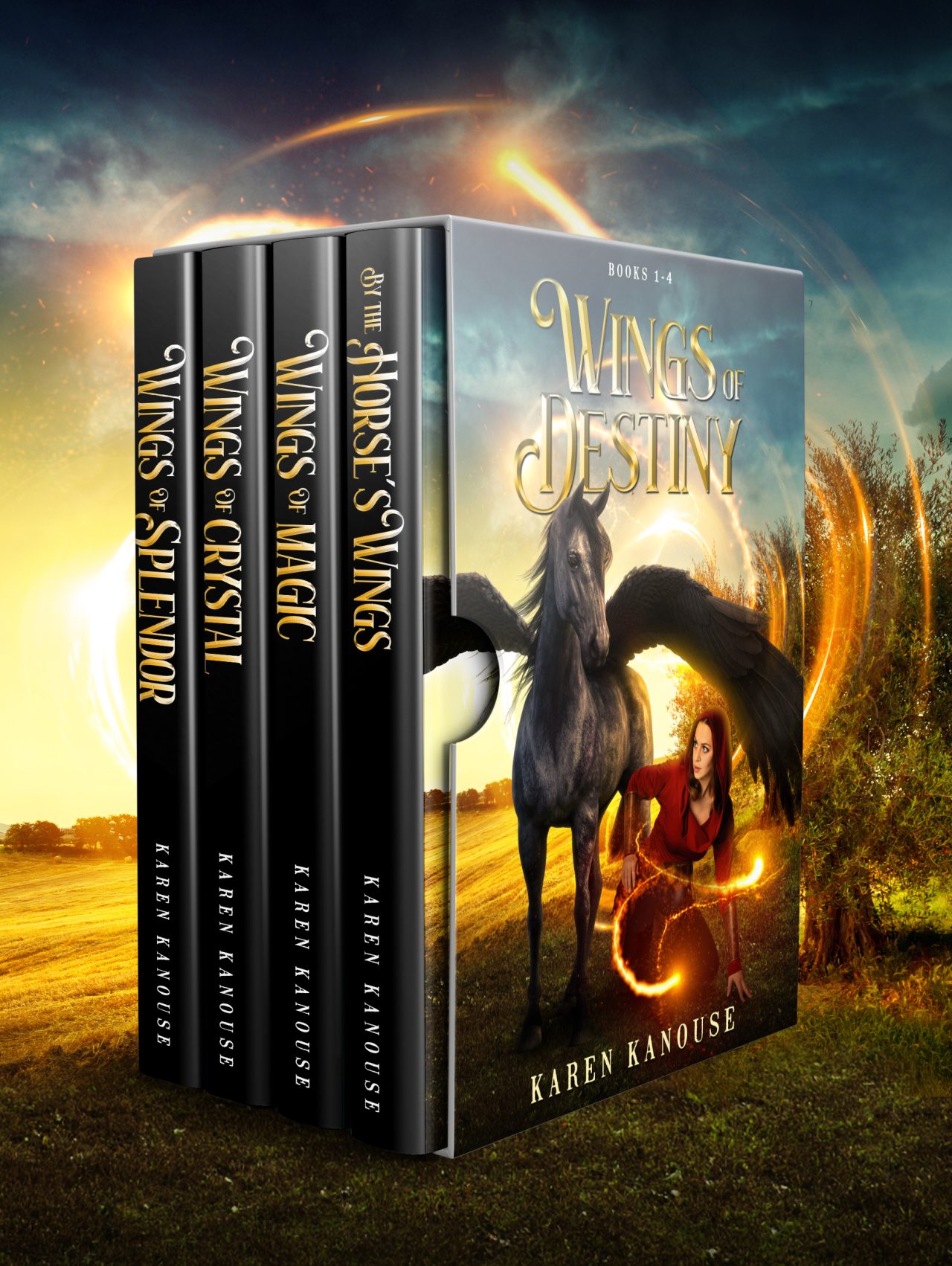 The Wings of Destiny Boxset by Karen Kanouse | Book Barbarian